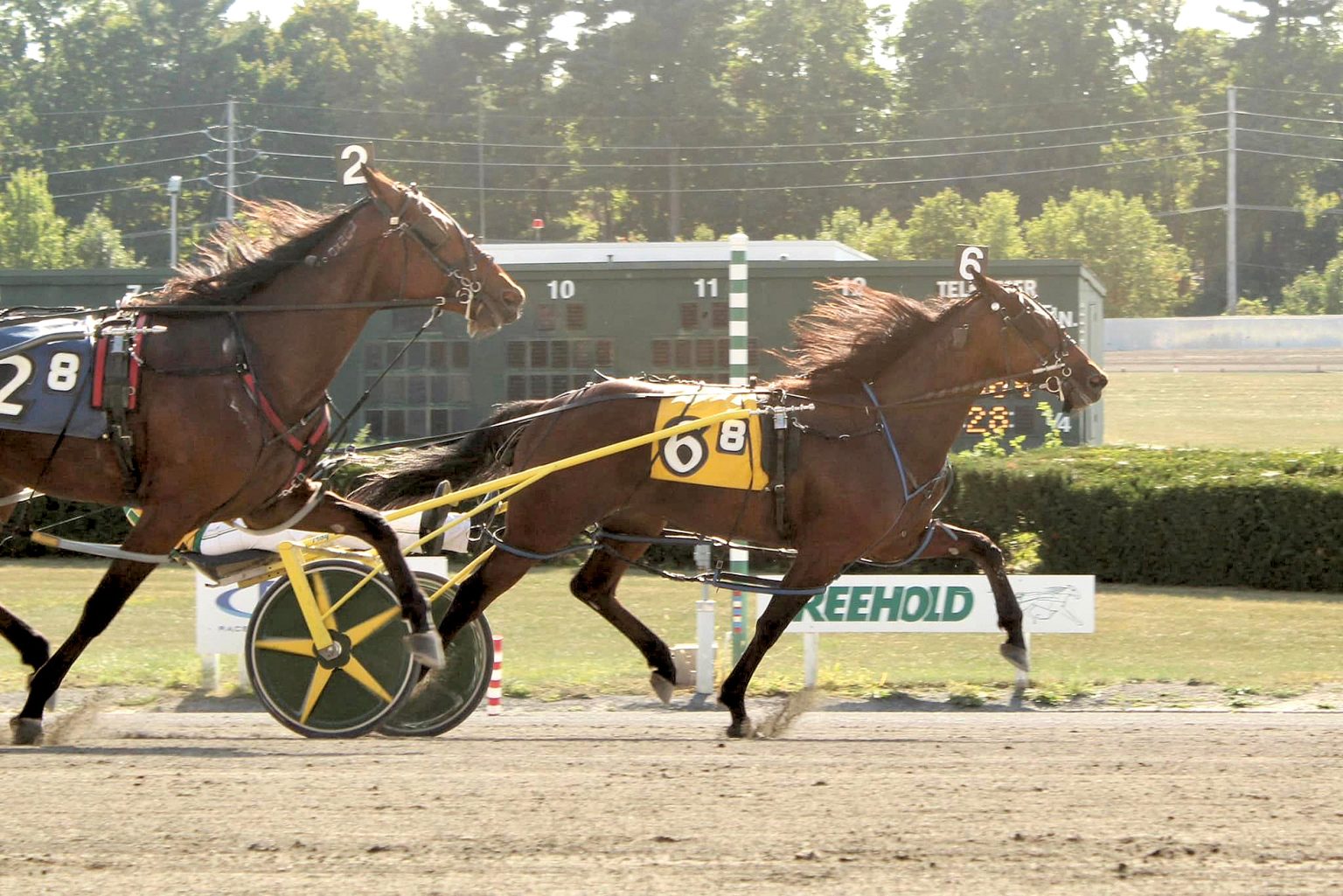 Final Lap: Freehold Raceway Ends Historic Run in December - Two River Times